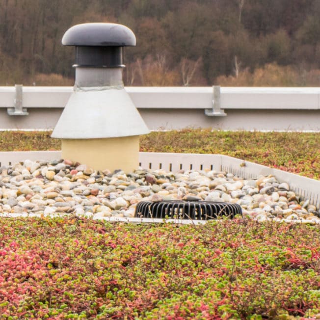 Green Roofing Just Got Easier | Green Roof Kits | TurfOnline