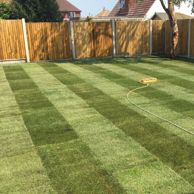 How To Lay Turf in Hot Weather | TurfOnline
