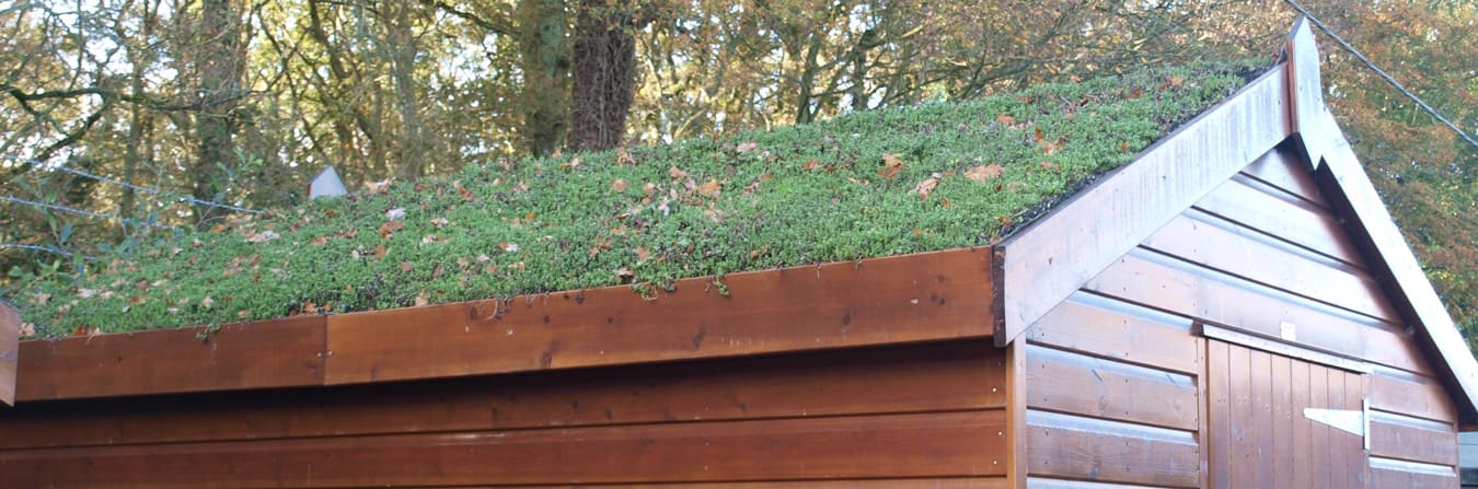 The Angle Of Your Dangle-off The Grid Sedum Roof Roof Detail