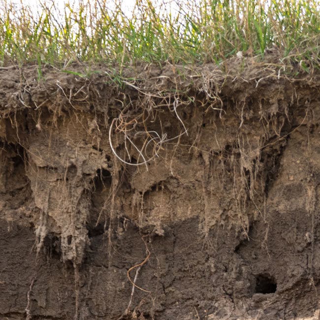 Topsoil Suppliers | Buying Quality Topsoil | TurfOnline