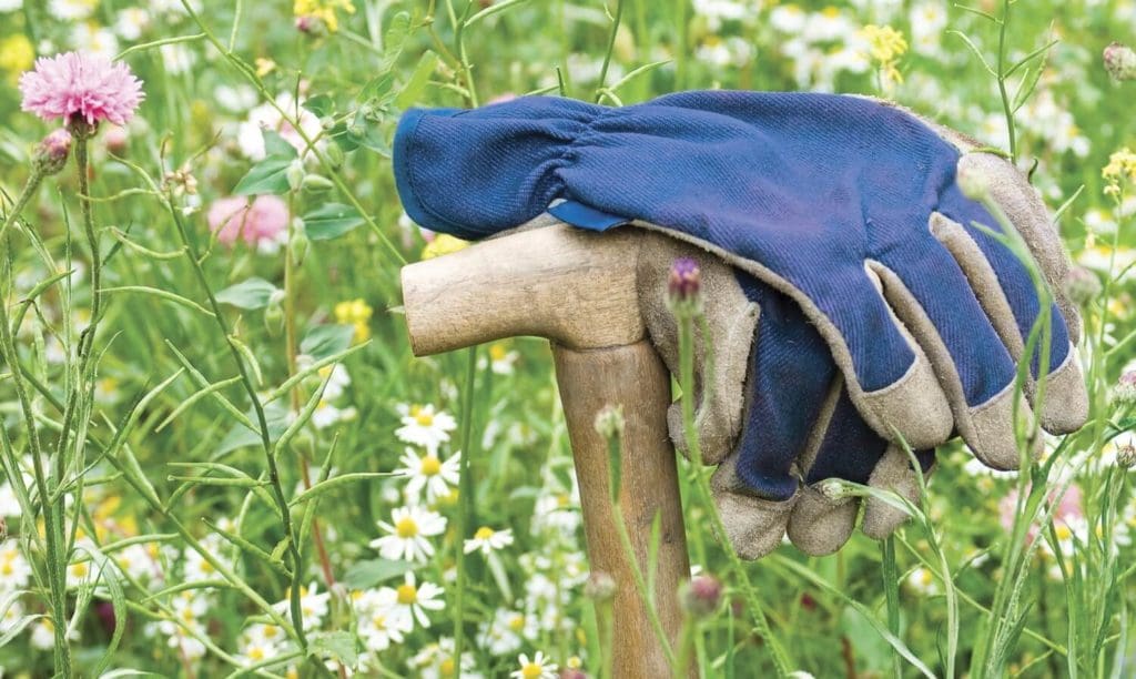 When Is The Best Time To Lay Meadowmat? | TurfOnline