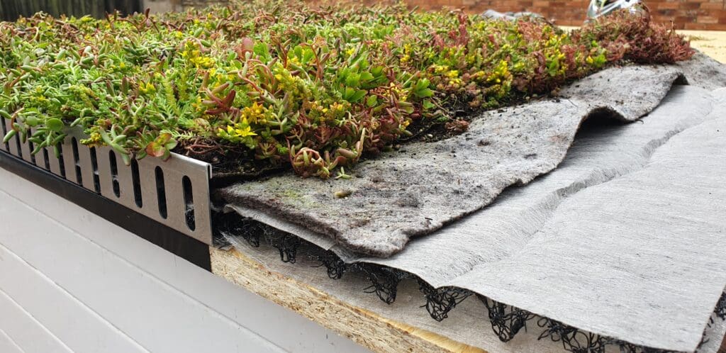 Sedum Flat Roof Kit | Enviromat Green Roofing | TurfOnline