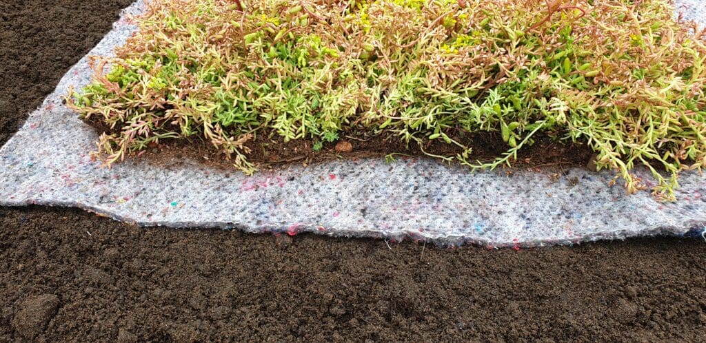 Buy Sedum Mats | Green Roof Sedum | TurfOnline