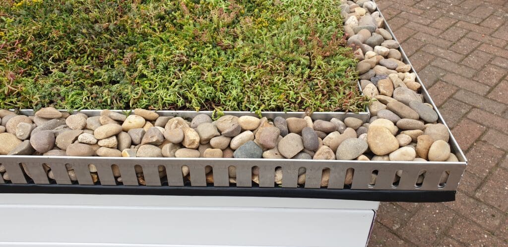 Sedum Flat Roof Kit | Enviromat Green Roofing | TurfOnline
