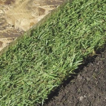 Turf Laying Boards | Lawncare Tools | TurfOnline