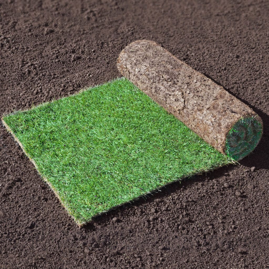 Buy Quality Turf | Premium-Grade Lawn Turf | TurfOnline