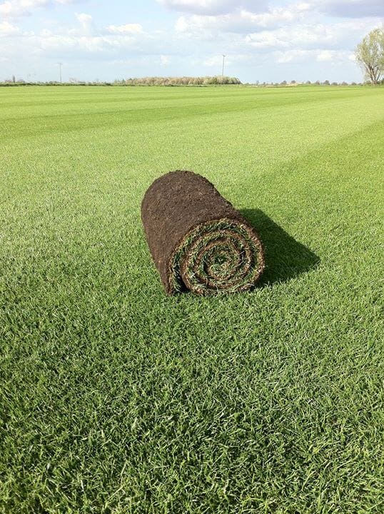Always Order Enough Turf For Your Garden | TurfOnline