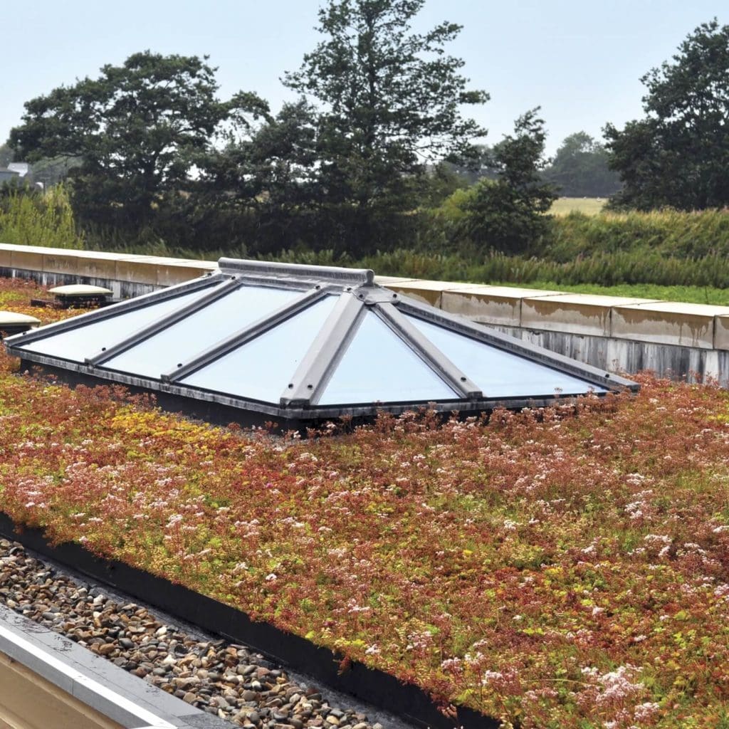 Sedum Flat Roof Kit | Enviromat Green Roofing | TurfOnline