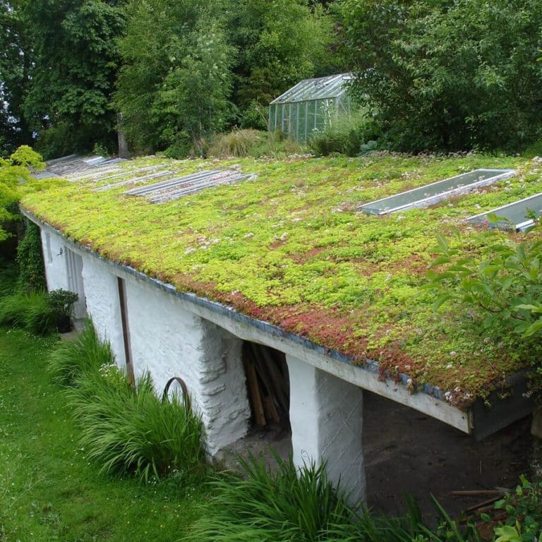 Sedum Pitched Roof Kit | Green Roofing | TurfOnline