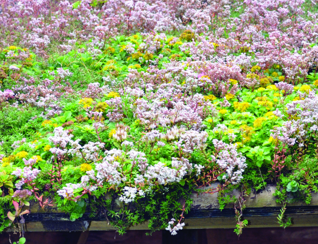 How to Install Enviromat Safely | Sedum Mats | TurfOnline