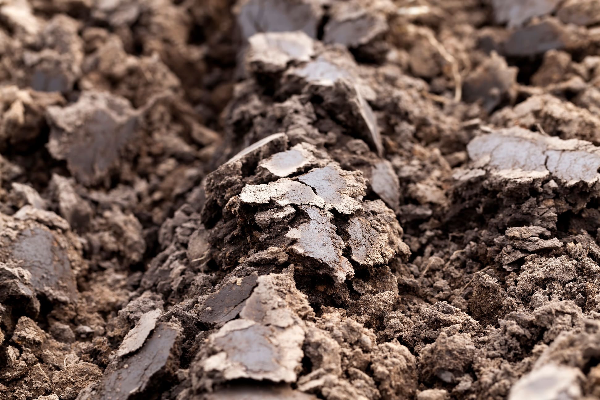 Working With Clay Soil | Fertiliser For Clay Soil | Turf Online