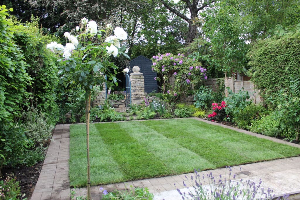 How to Establish Your New Turf | Turf Lawncare | TurfOnline