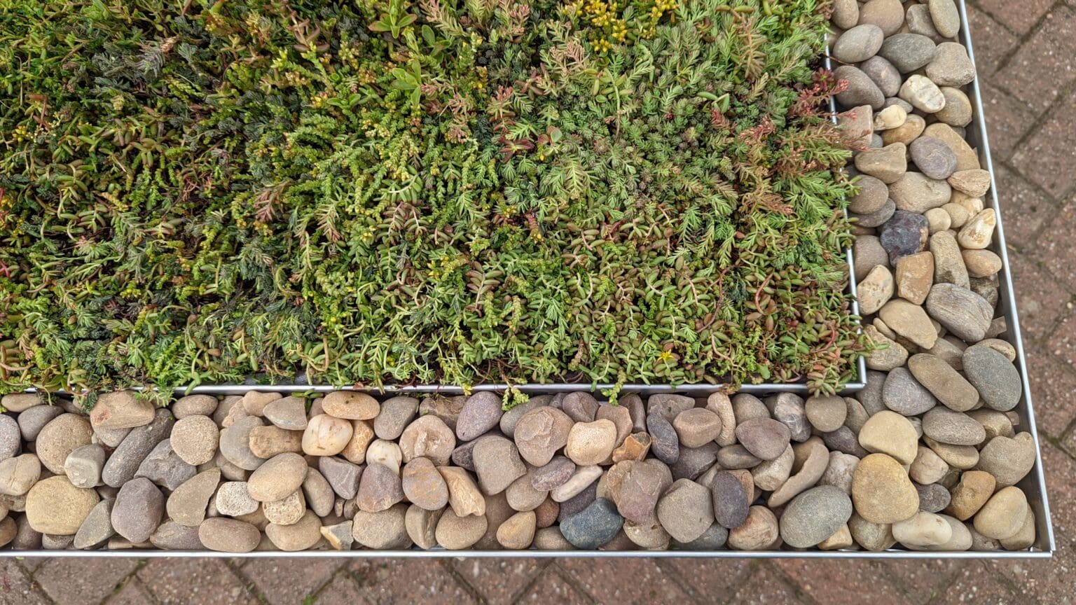 Natural Sea Cobbles | Garden Substrate | TurfOnline
