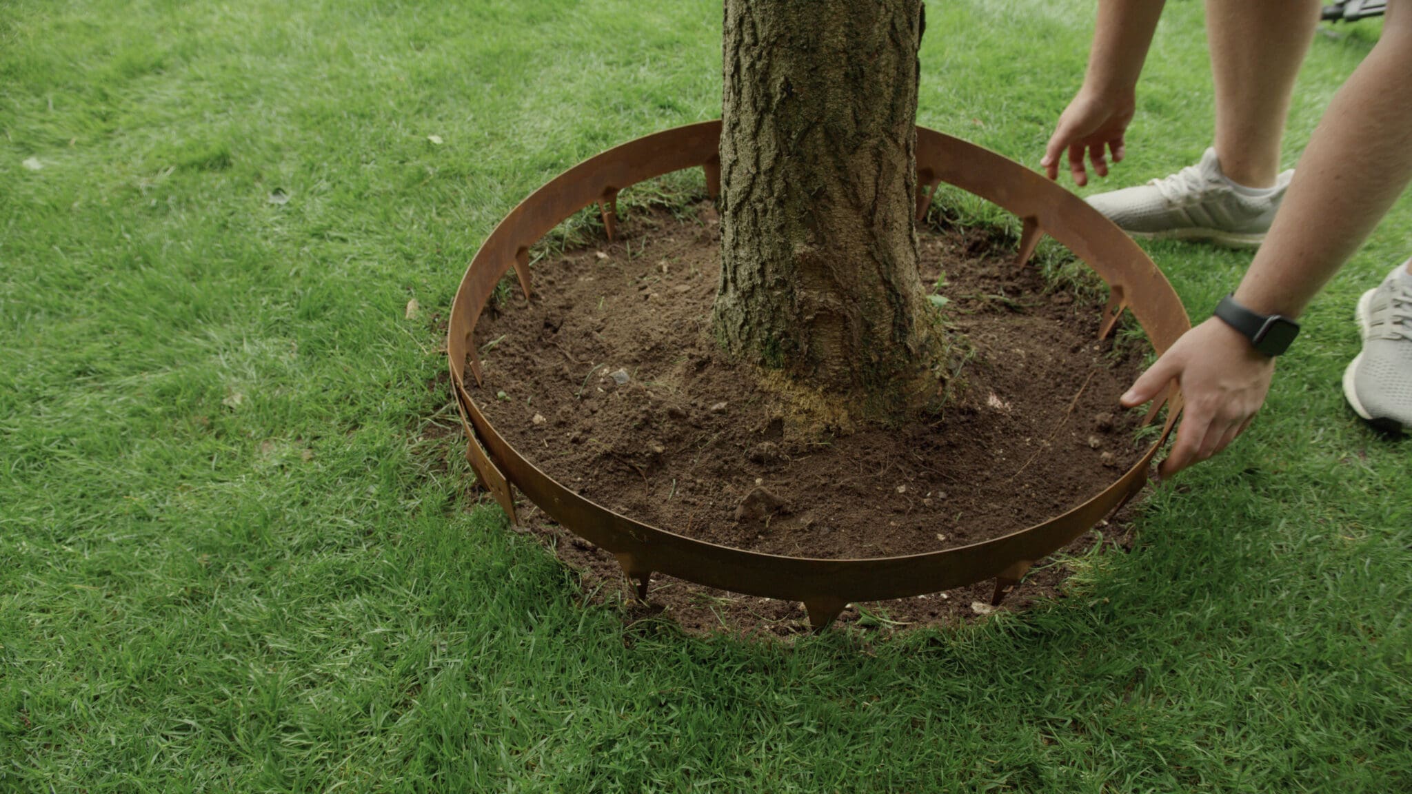 Tree Rings | Lawncare Accessories | TurfOnline