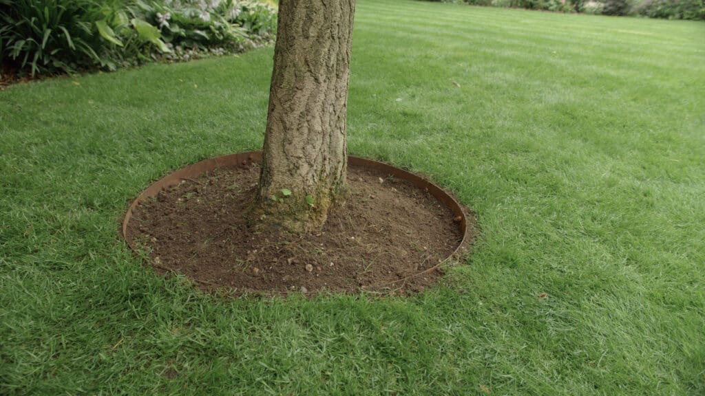 Tree Rings | Lawncare Accessories | TurfOnline