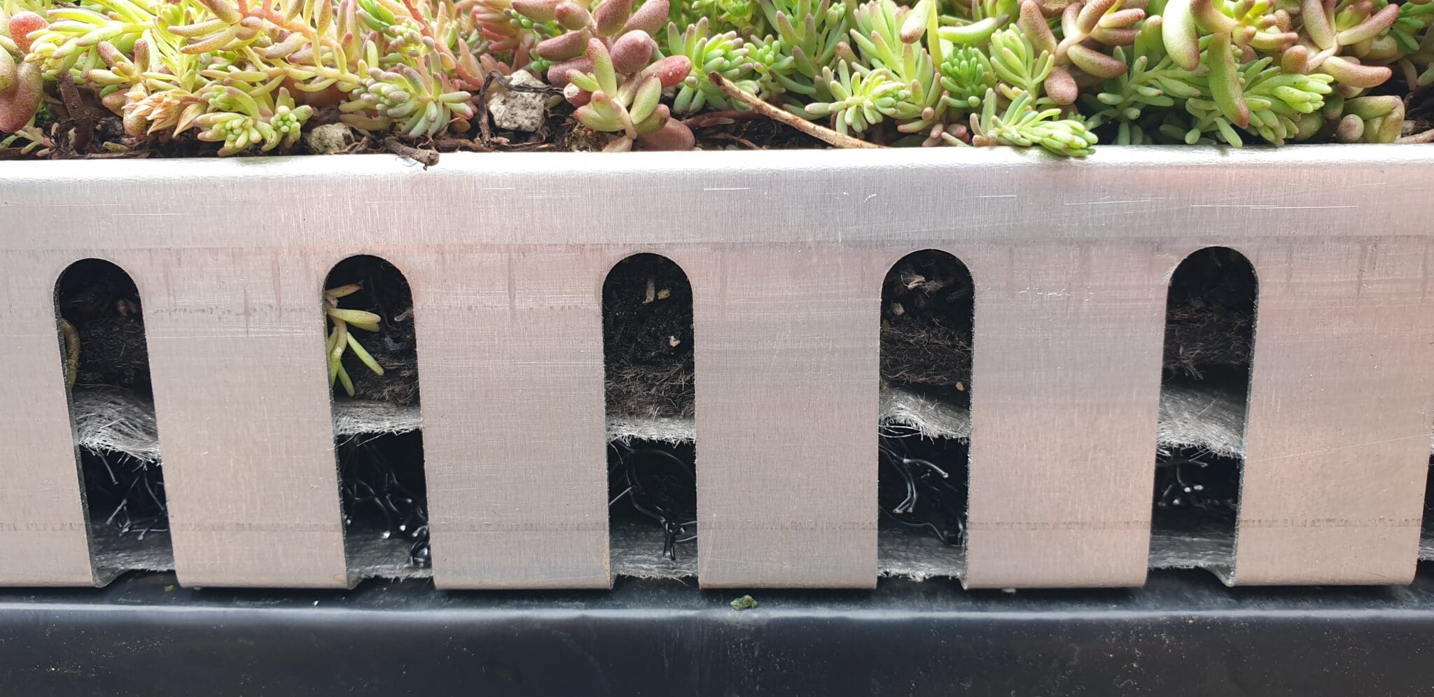 Green Roof Edging | TurfOnline