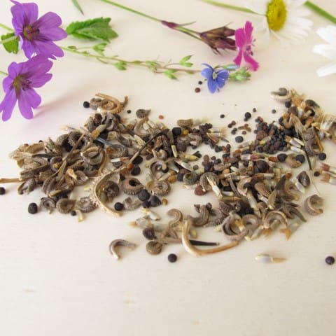 How to re-use old turf | Turf Online