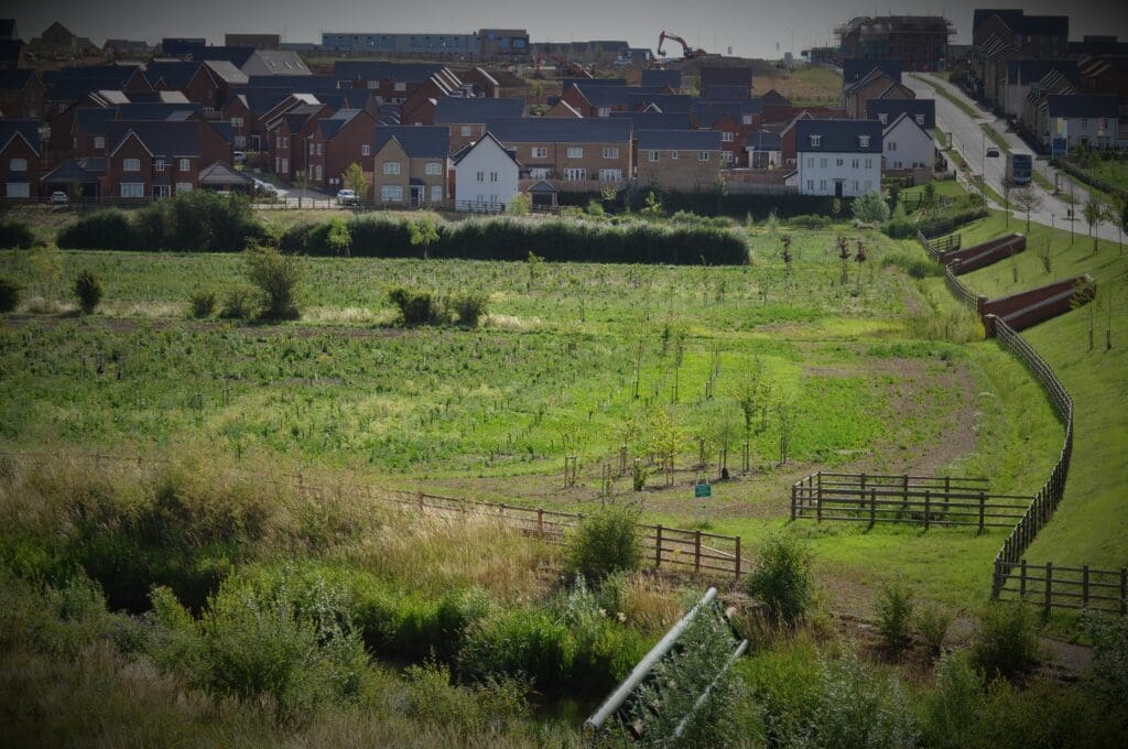 Case study - Stanton Cross, Wellingborough. | Turf Online
