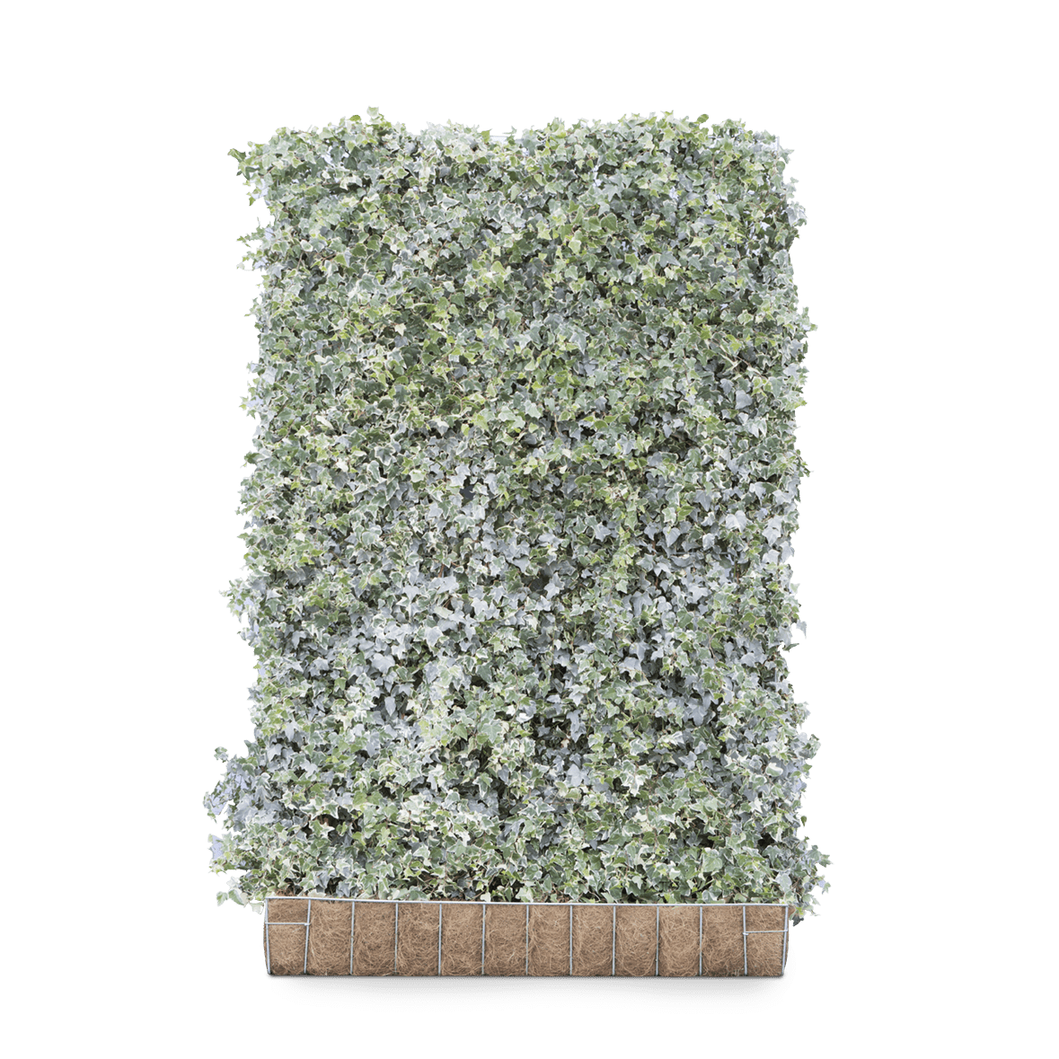 Green Screens - Privacy and Security | Turf Online