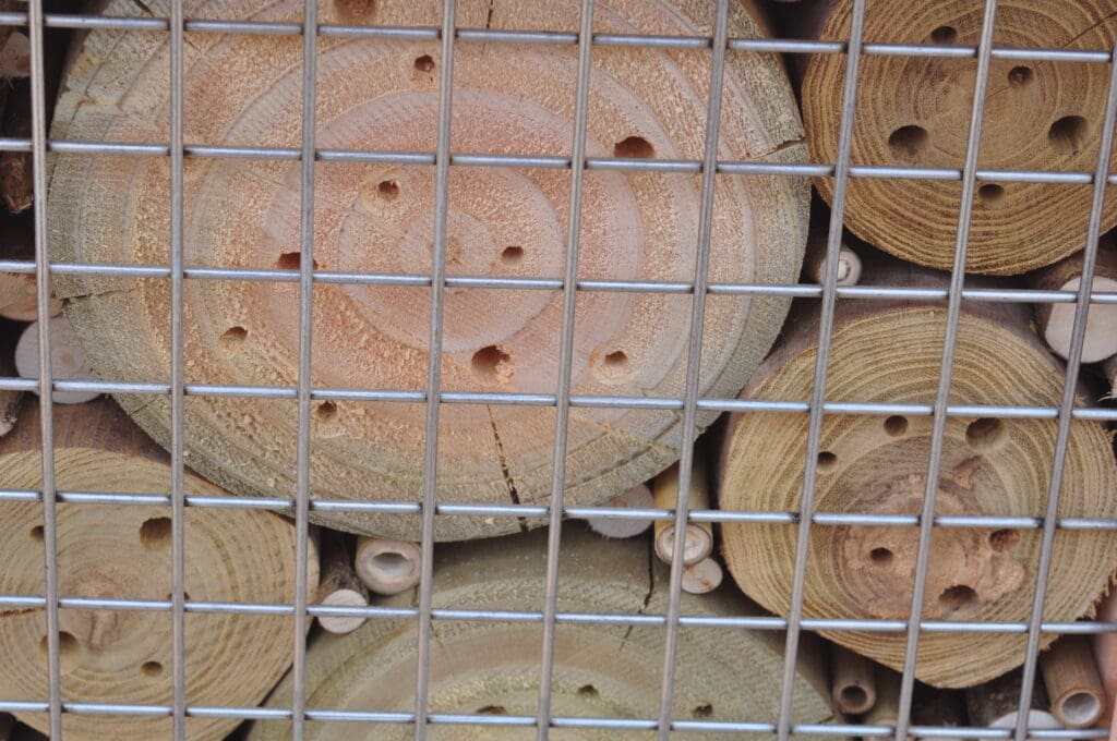 Insect Habitat - Small | Turf Online