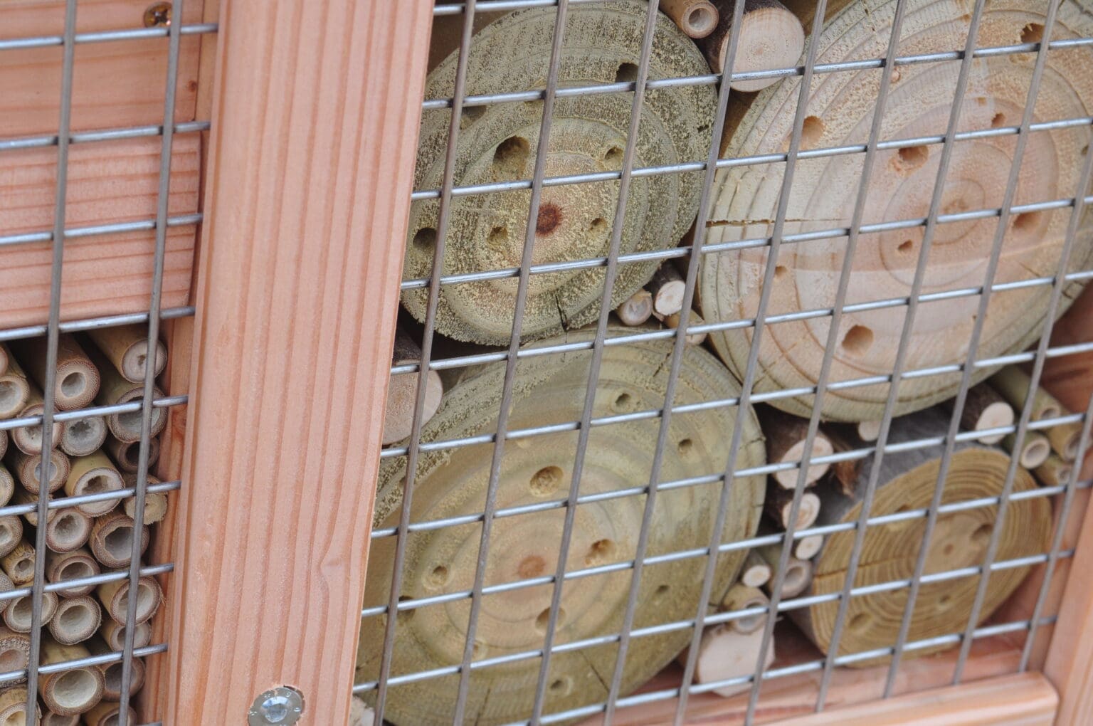 Insect Habitat - Large | Turf Online