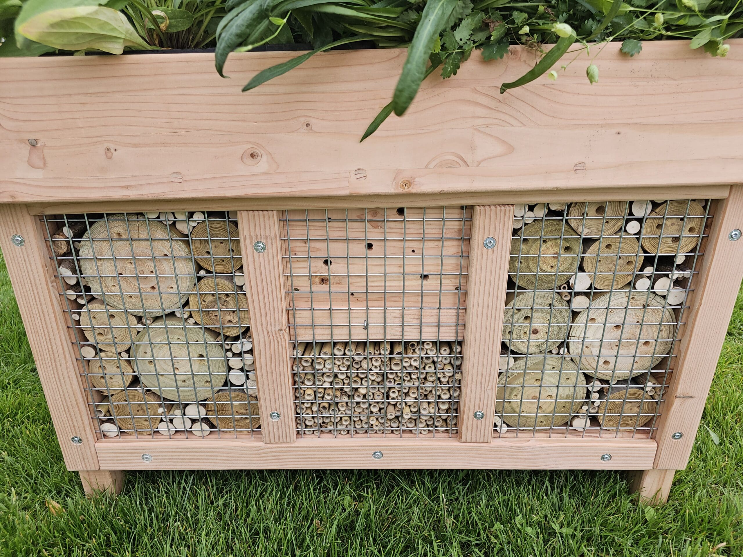 Insect Habitat