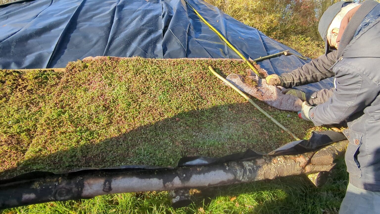 Case study - The sedum roundhouse | Turf Online