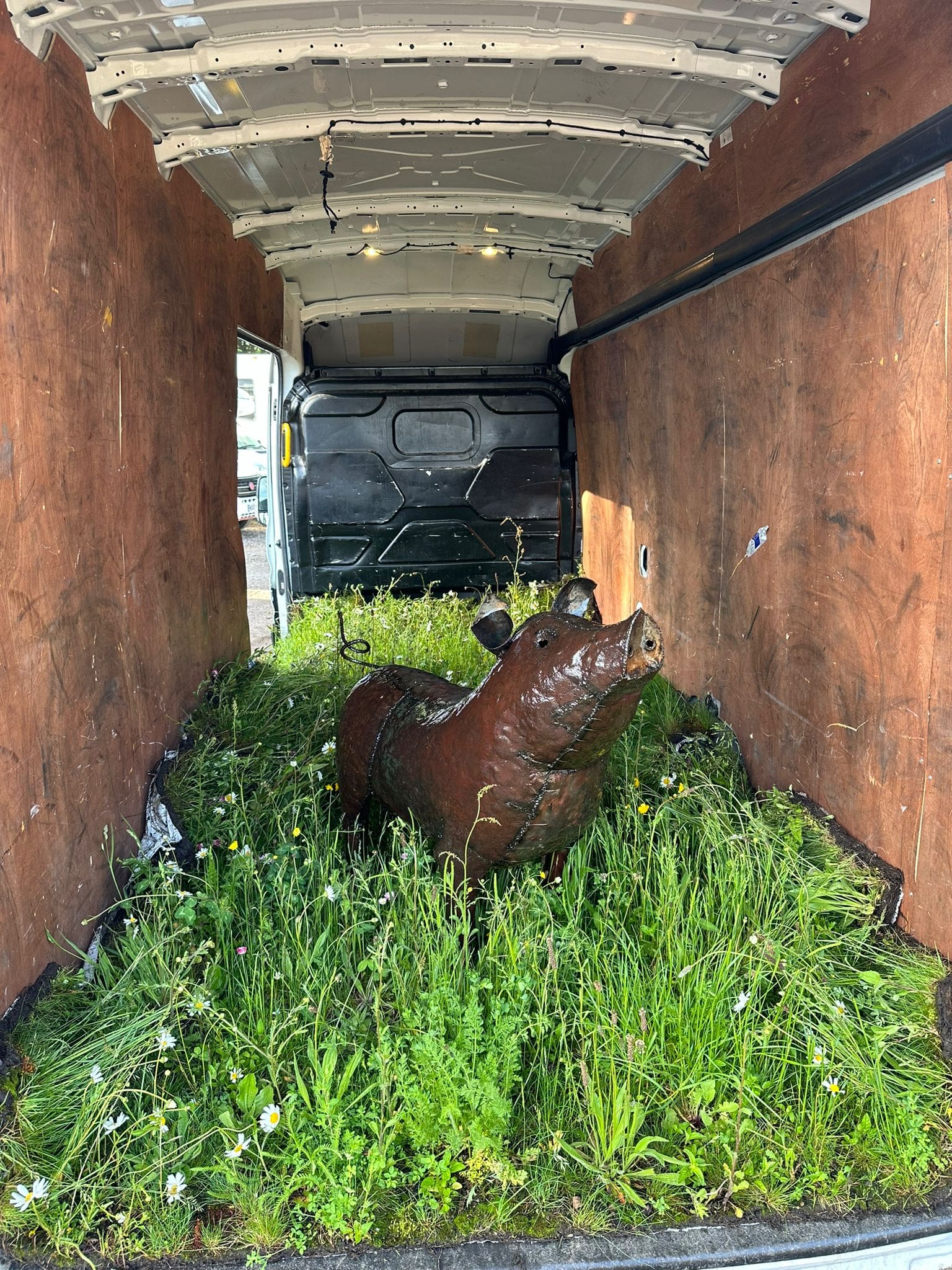 Case study - Chi-Africa | Turf Online