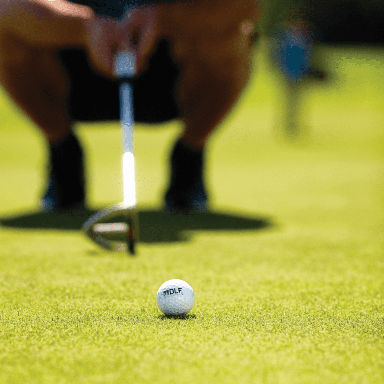 DLF Masterline PM15 Green Allbent Seed Mix 10Kg | Turf Online