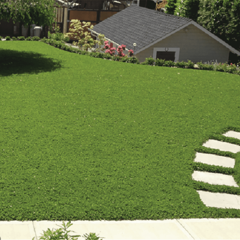 DLF Masterline PM26 Ecosward Seed Mix 20Kg | Turf Online