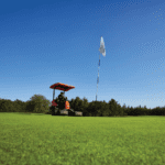 DLF Masterline PM5 Economy Green Seed Mix 20Kg | Turf Online