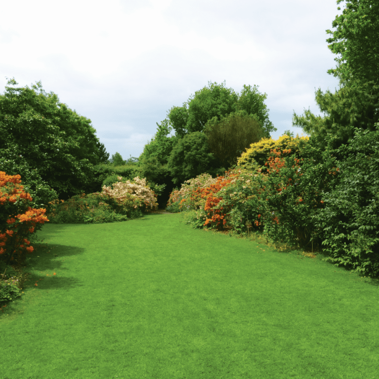 DLF Masterline PM51 Greenscape Seed Mix 20Kg | Turf Online