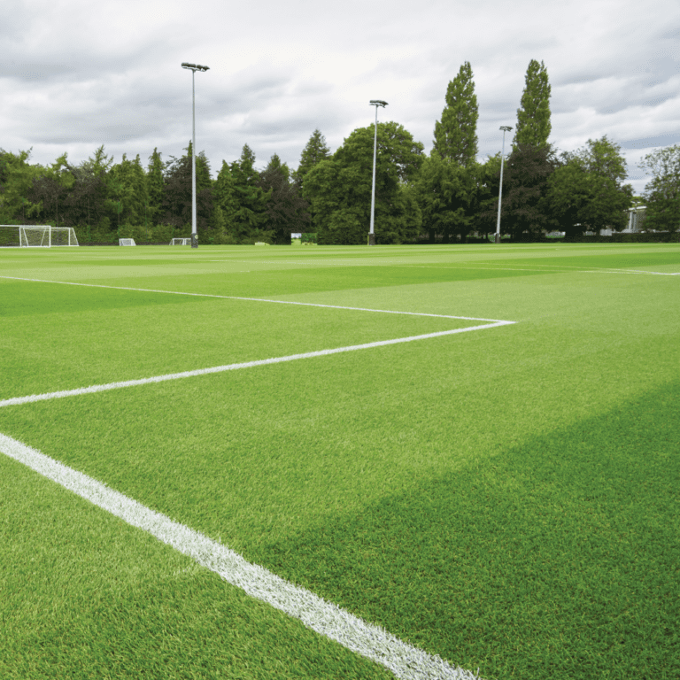 Masterline Playing Field Seed Mix 20Kg | Turfonline