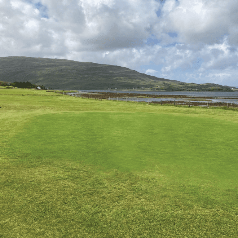 DLF Masterline PM90 Coastal Seed Mix 20Kg | Turf Online