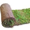 A Guide to Green Roof Construction | TurfOnline