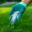 Pre-turf fertiliser - What is it & why do I need it? | TurfOnline