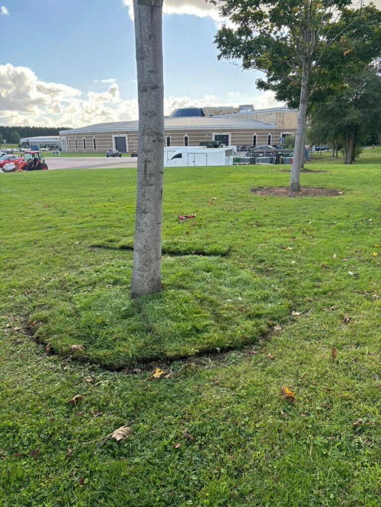 Meadowmat at The British Motor Museum | Turf Online