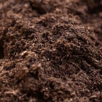 How to re-use old turf | Turf Online