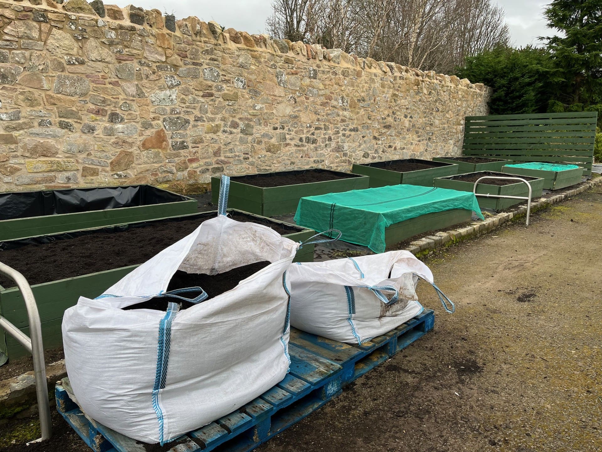 UpMo Community Garden | Turf Online